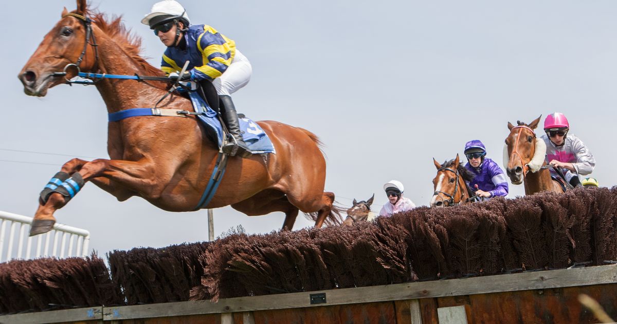 Les Landes Race Course | Attraction | Visit Jersey