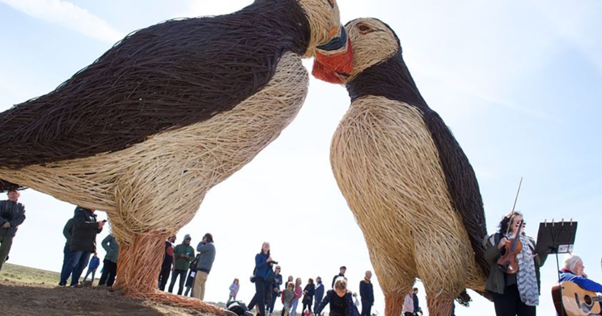 Puffin Sculpture | Attraction | Visit Jersey