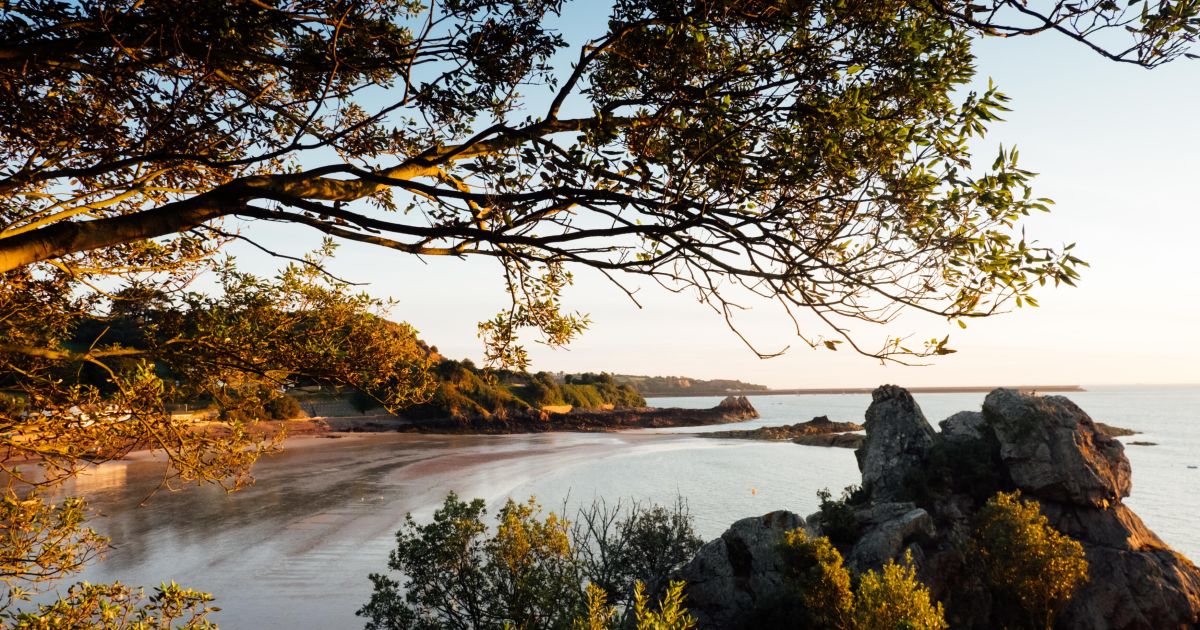 Anne Port Bay | Beaches & Bays | Visit Jersey