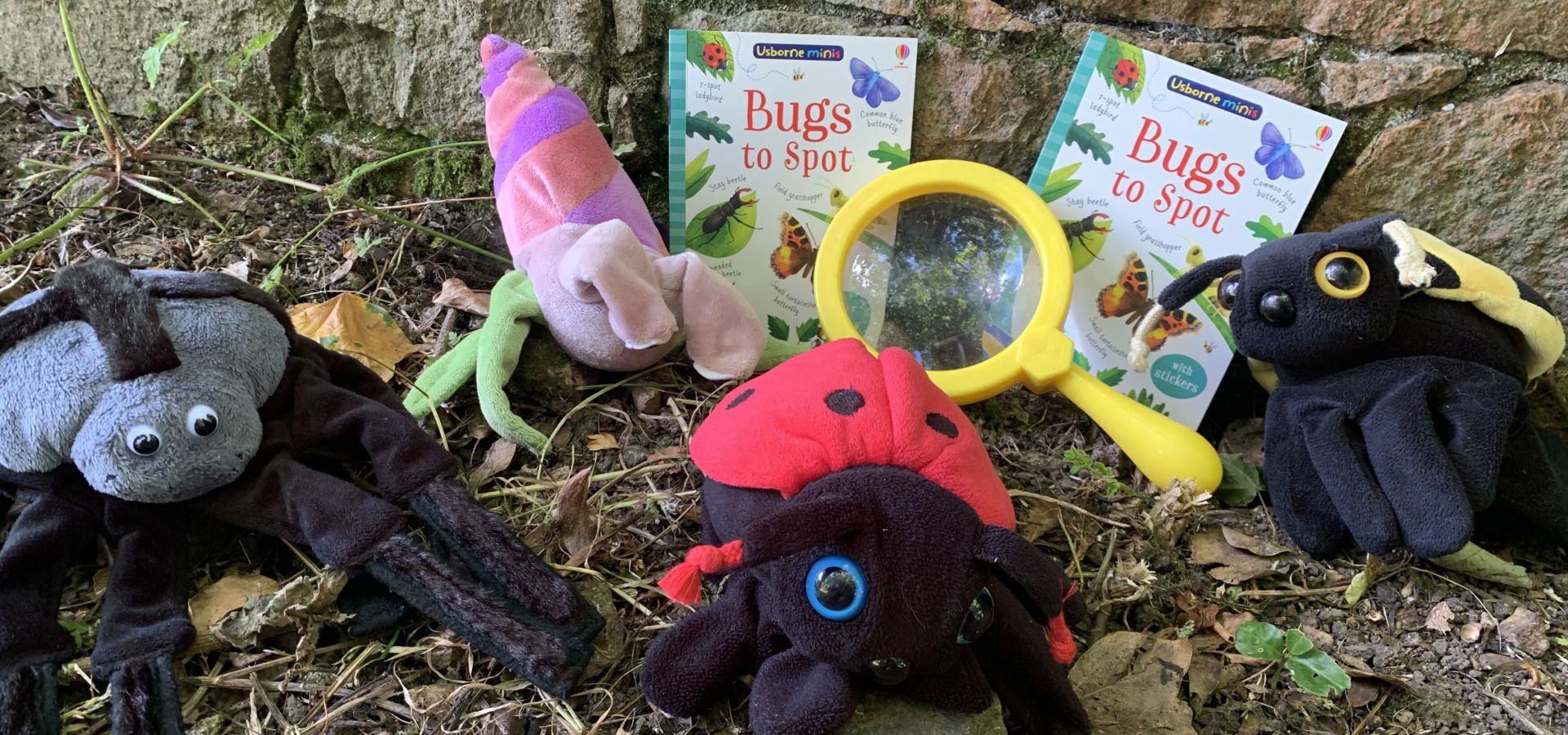 The Big Bug Hunt & Nature Play | Tours & Activity Session | Visit Jersey
