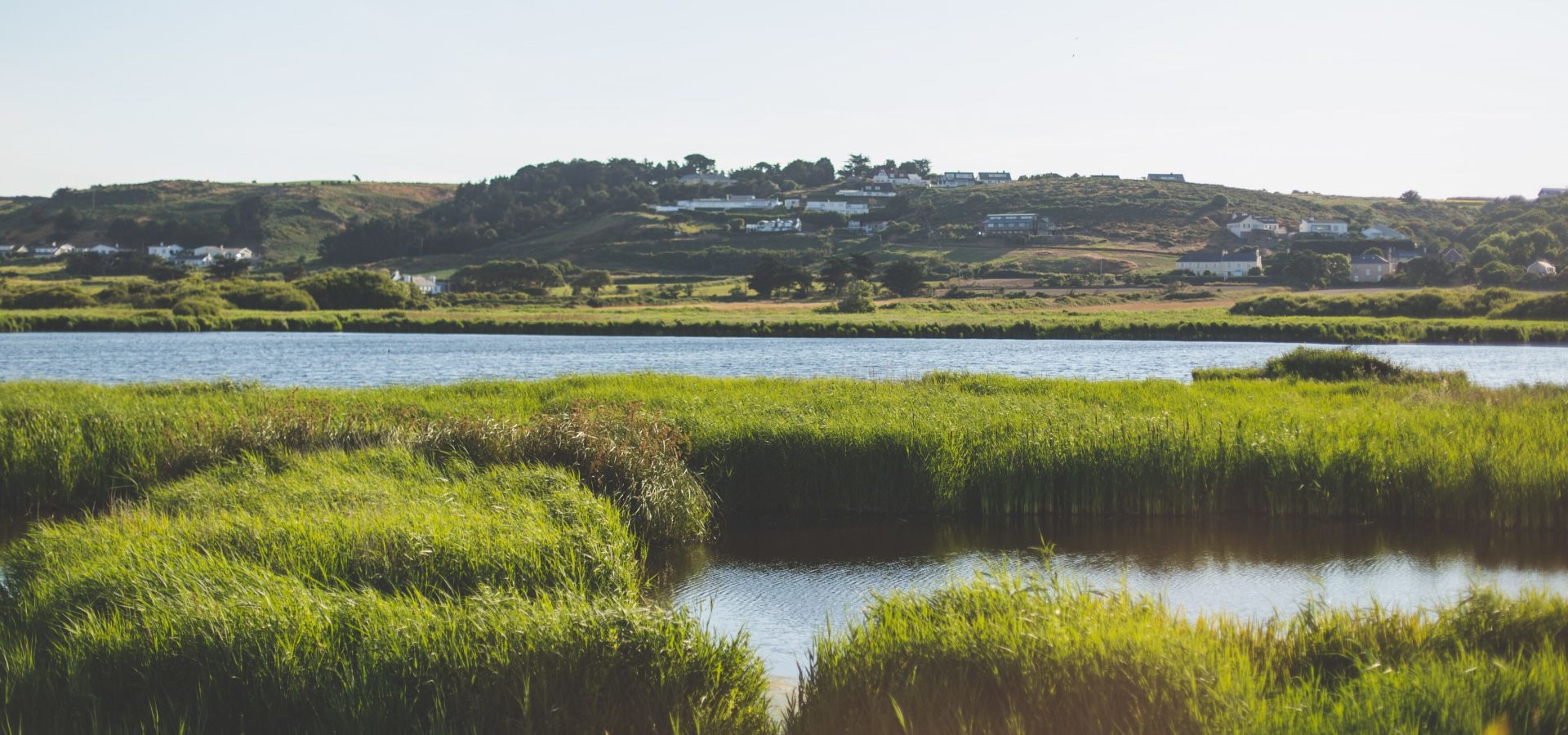 World Wetlands Day Mini Festival | Event | Visit Jersey