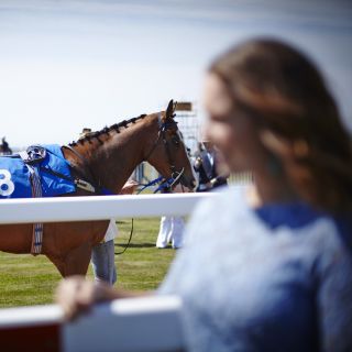 Les Landes Race Course | Attraction | Visit Jersey