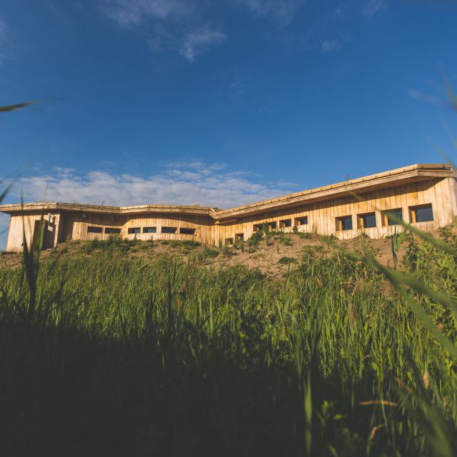 World Wetlands Day Mini Festival | Event | Visit Jersey