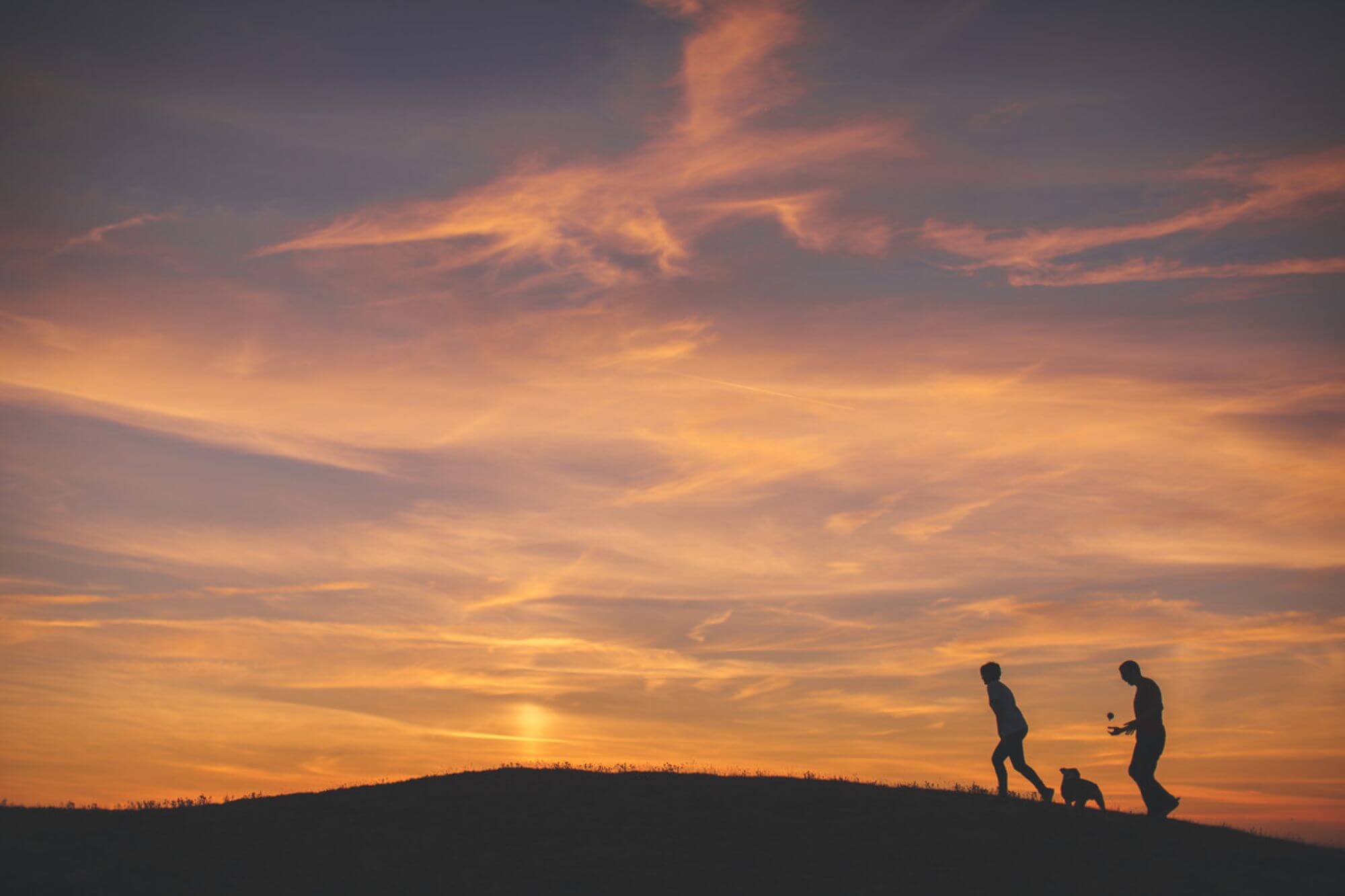 Jersey de l'aube au crépuscule. | Inspiration | Visit Jersey