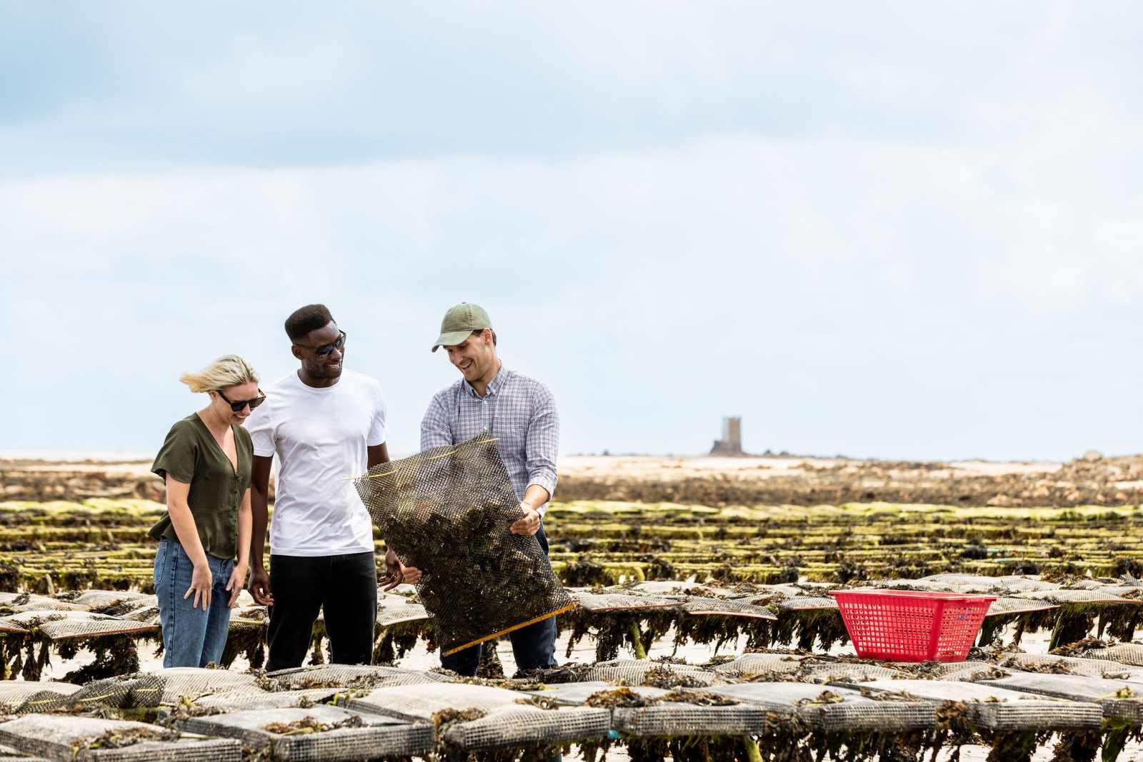 The story of Jersey oysters | Inspire me | Visit Jersey