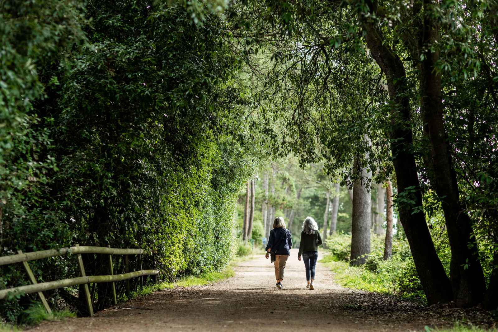 Woodland walks in Jersey | Travel Articles | Visit Jersey